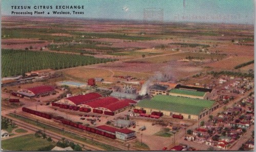 1950s Weslaco, Texas Postcard "TEXSUN CITRUS EXCHANGE" Factory Plant ...