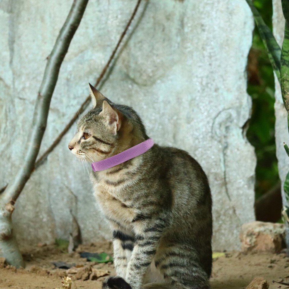 12 Colors Pet ID Neck Collar Puppy Litter Collars Tags for Dogs ...