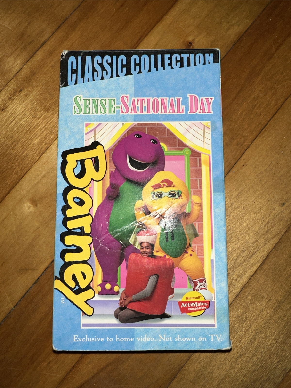 Barney - Barneys Sense-Sational Day (VHS, 2000, Classic Collection) for ...
