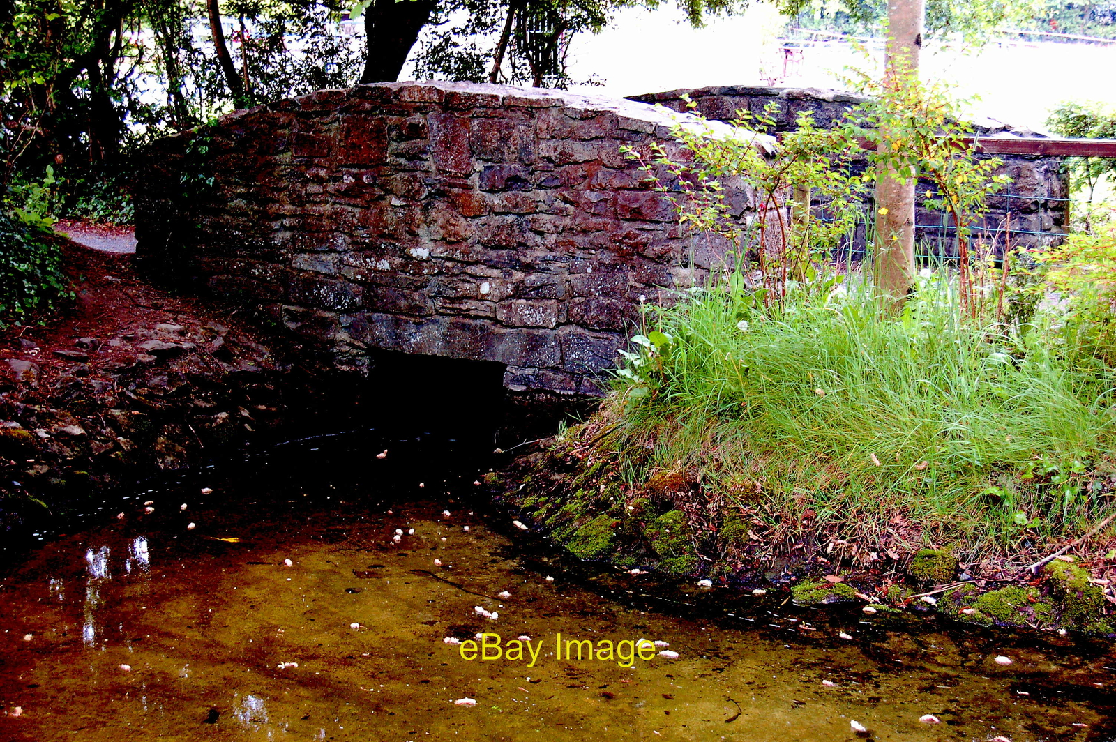 Photo 6x4 Foynes - Main Street - Foynes Flying Boat Museum - Boeing ...