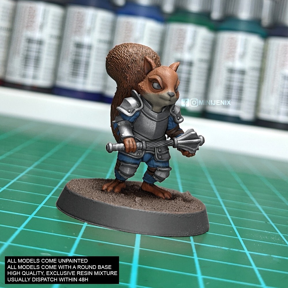 SQUIRREL PALADIN ANIMAL Fantasy: D&D, Frostgrave, Resin Miniature 28mm ...