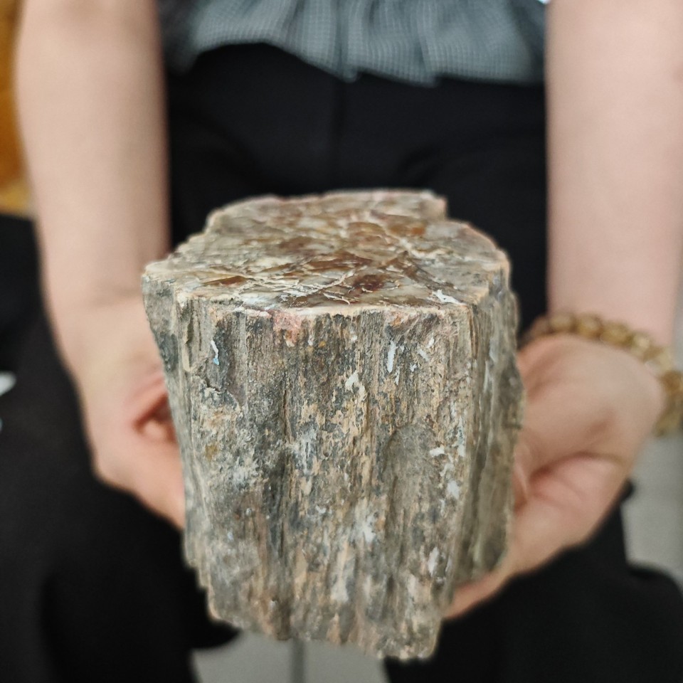 3.63LB Natural Jurassic tree fossil crystal specimens Healing 1650g | eBay