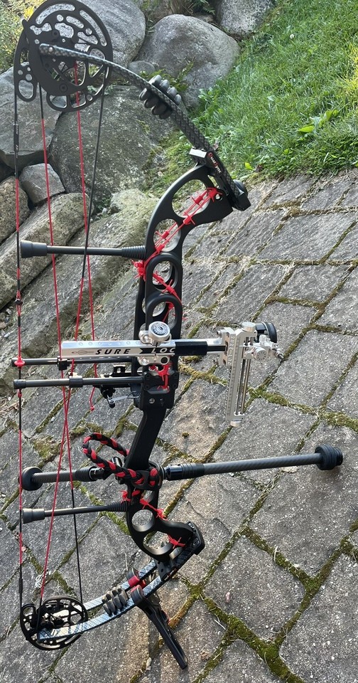 Darton Executive Dual Sync Right Hand Compound Target Bow w/Accessories ...