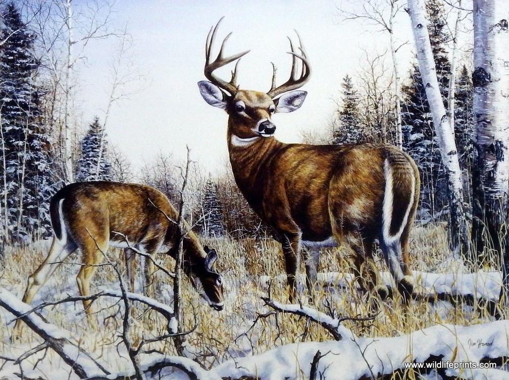 Bow Hunting Paintings
