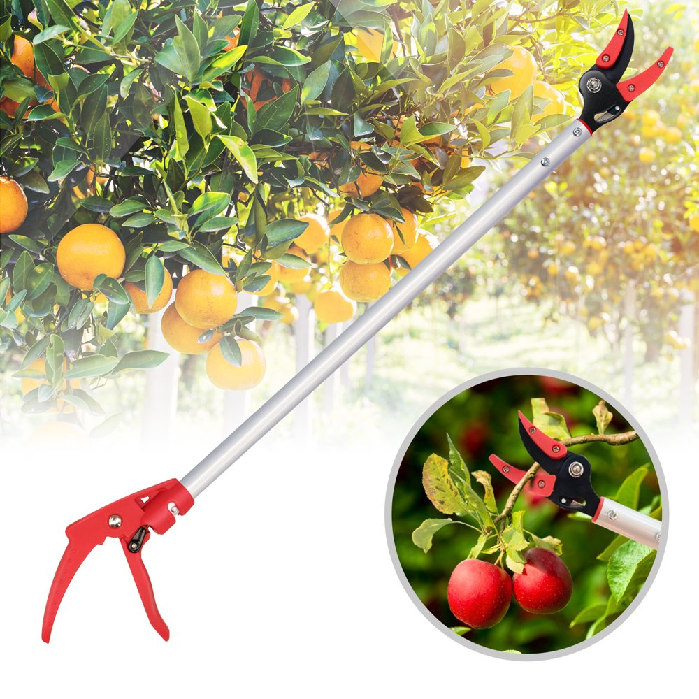 32" Long Tree Reach Pruner or Fruit Picker and Bypass Pruner, Pruning ...