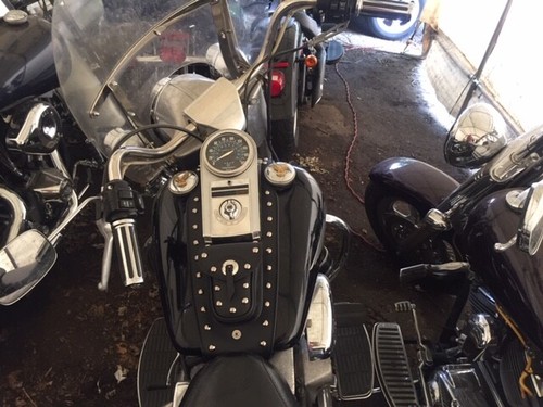 HARLEY DAVIDSON Tank Bib H-D Softail -Fatboy-FST FLSTF-FLSTC-FXSTC 1984 ...