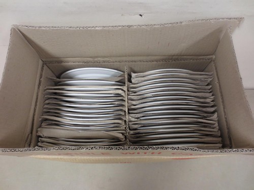 Oneida Buffe Mohe Rego Decorated Plates (Case of 36) Restaurant ...