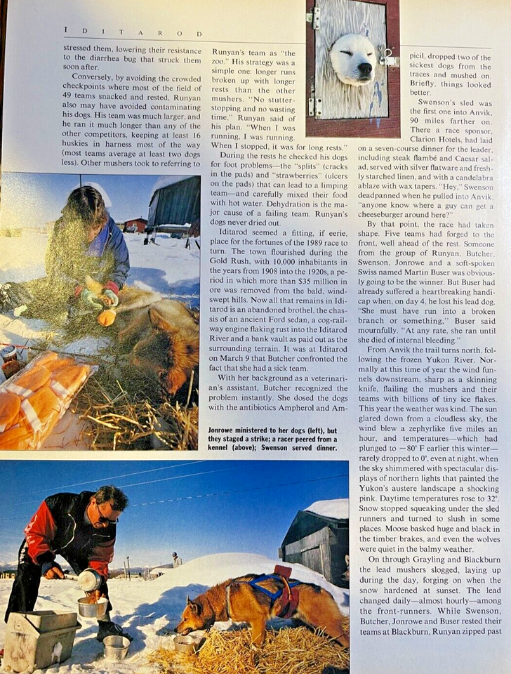 1989 Joe Runyan Iditarod Winner illustrated | eBay