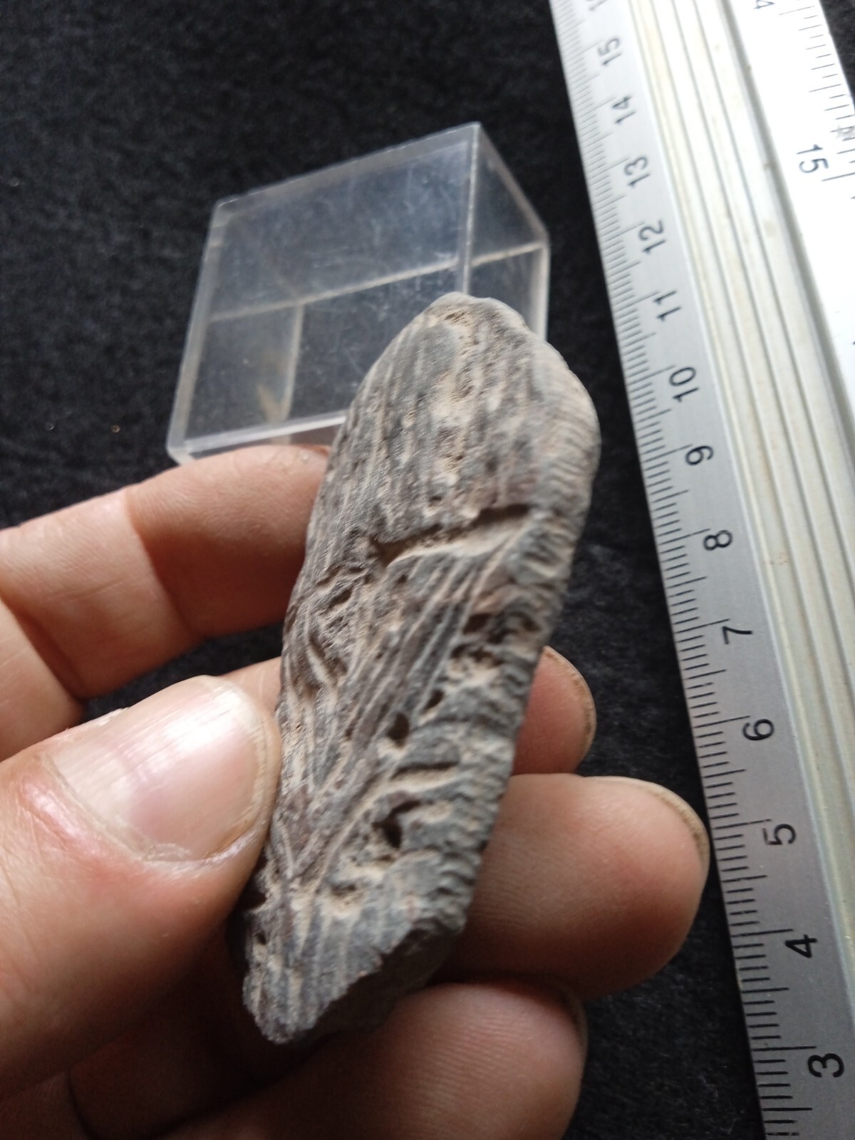 Superb neolithic idol in stone grey material ,eyes oculated | eBay