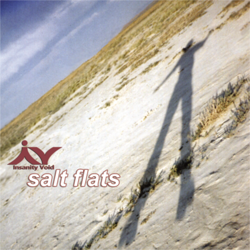 Insanity Void - Salt Flats CD reissue Indie Electronic Alternative ...