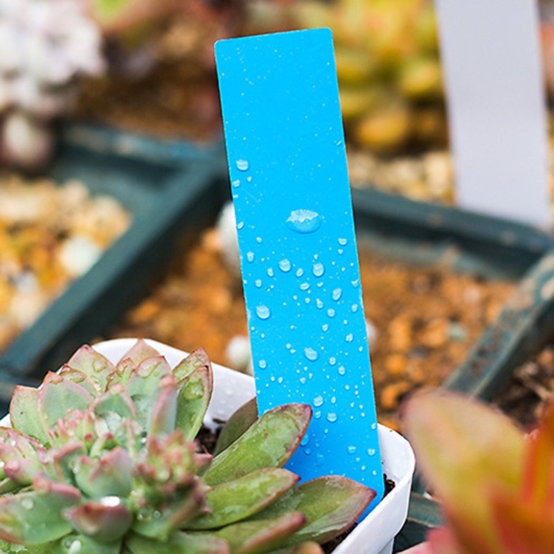 100Pcs Plastic Plant Labels Markers & Labels Plant Labels for Garden ...