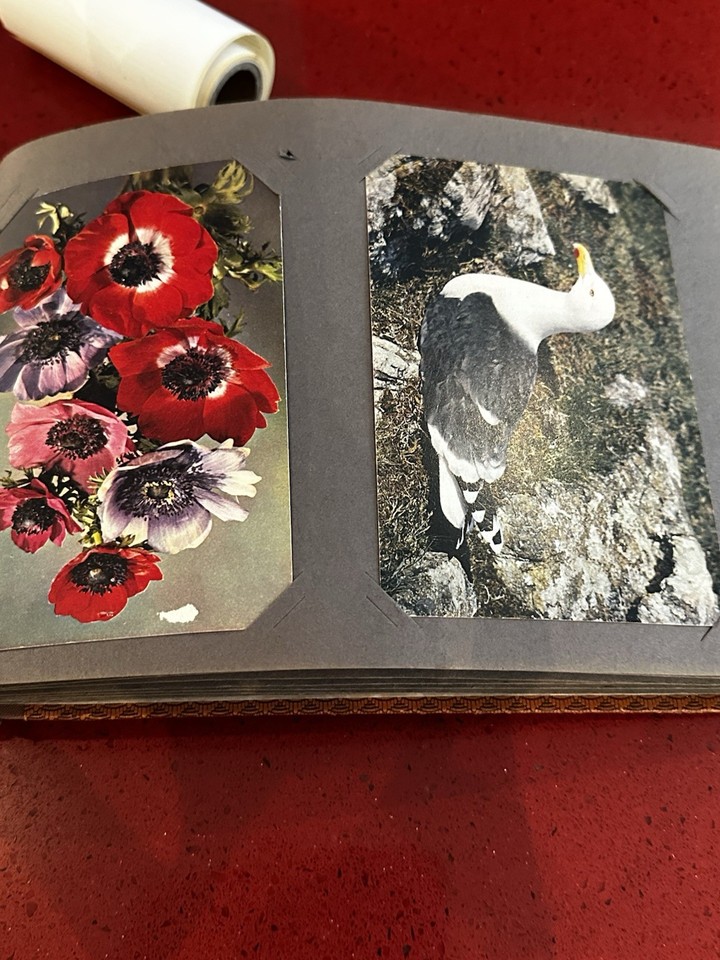 Vintage Postcard Albums With Postcards Some Early Cards Included+Floral ...