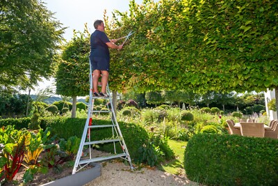 Henchman Fully Adjustable PRO Tripod - Ladders For Uneven Ground - All ...