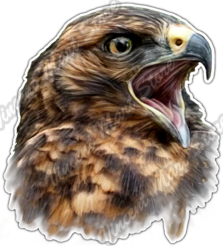 Screaming Hawk Head Bird Wild life Hunting Car Bumper Vinyl Sticker ...
