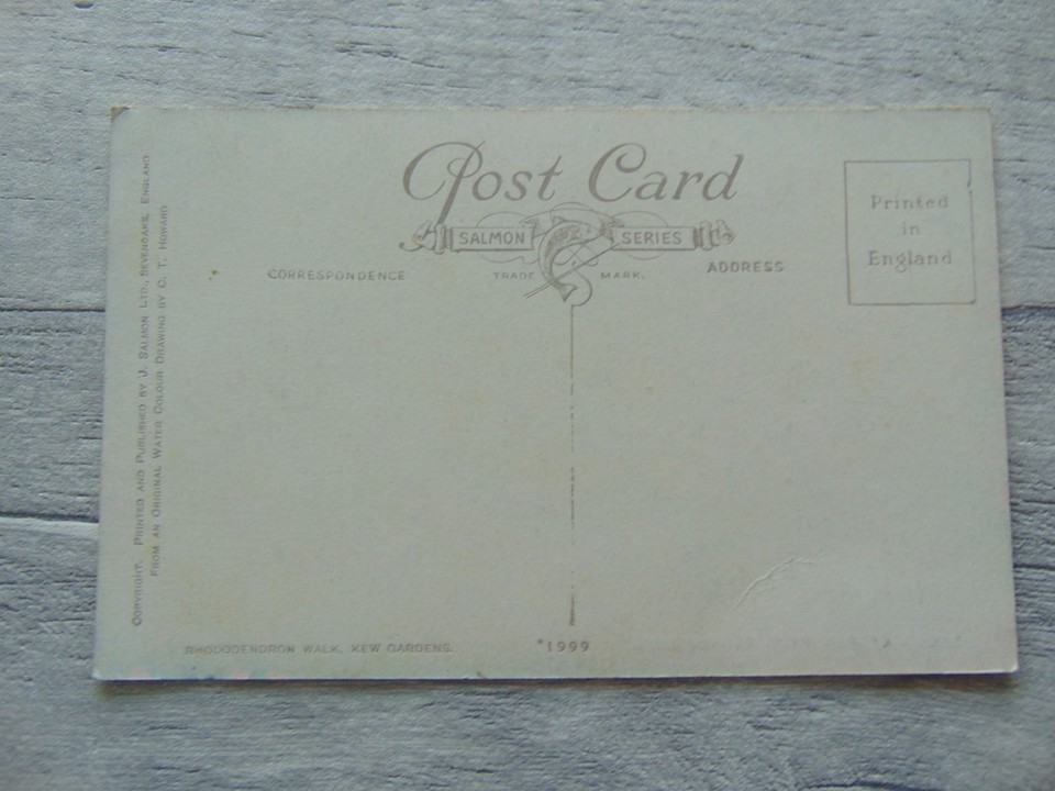 5 Vintage Postcards Bluebells, Queens Cottage, Rhododendrons Kew ...