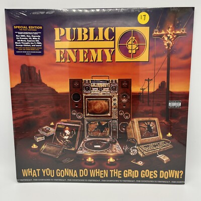 What You Gonna Do When The Grid Goes Down? by Public Enemy (Record ...