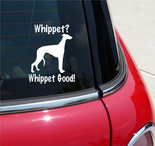 FUNNY WHIPPET? WHIPPET GOOD! WHIPPETS DOG GRAPHIC DECAL STICKER ART CAR ...