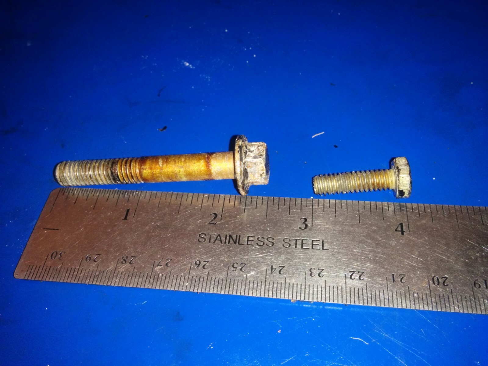 SCREW 0307267 , 307267 0306409 306409 screws johnson evinrude 150hp | eBay