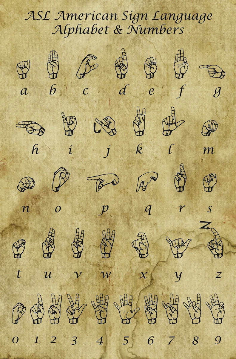 Sign Language Alphabet And Numbers
