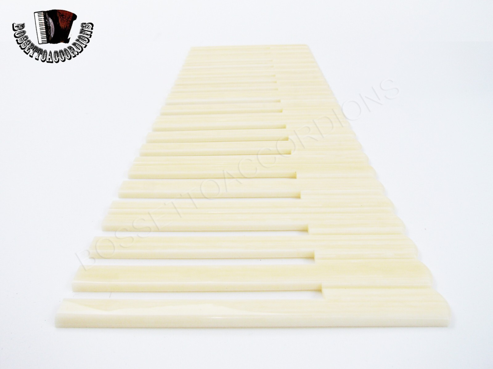Accordion Keyboard Key Tops Keytops Set of 24 Ivory Striped Kelox 19.8 ...
