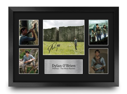 Dylan O'Brien Maze Runner A3 Framed Signed Autograph Picture Gift for ...