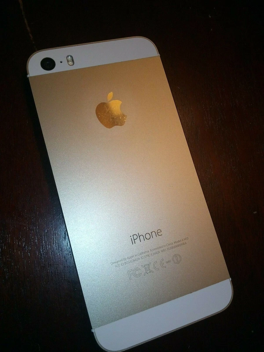 Iphone 5s Gold In Hand