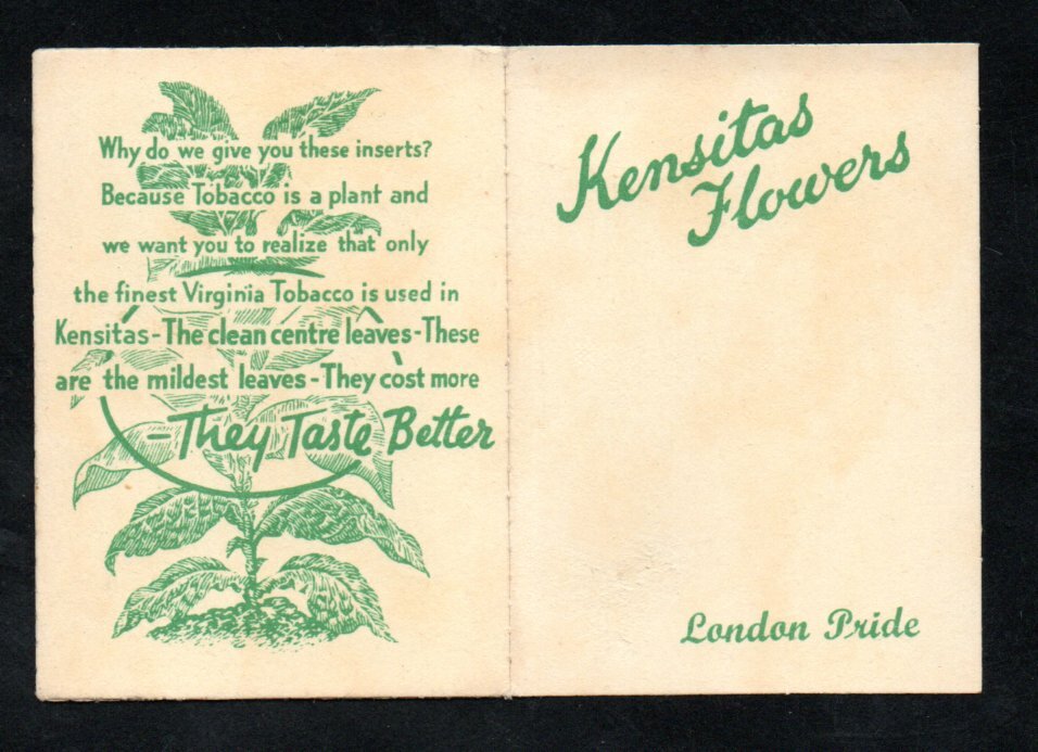 Kensitas Wix cigarettes MEDIUM silk flower and cover Rare LONDON PRIDE ...