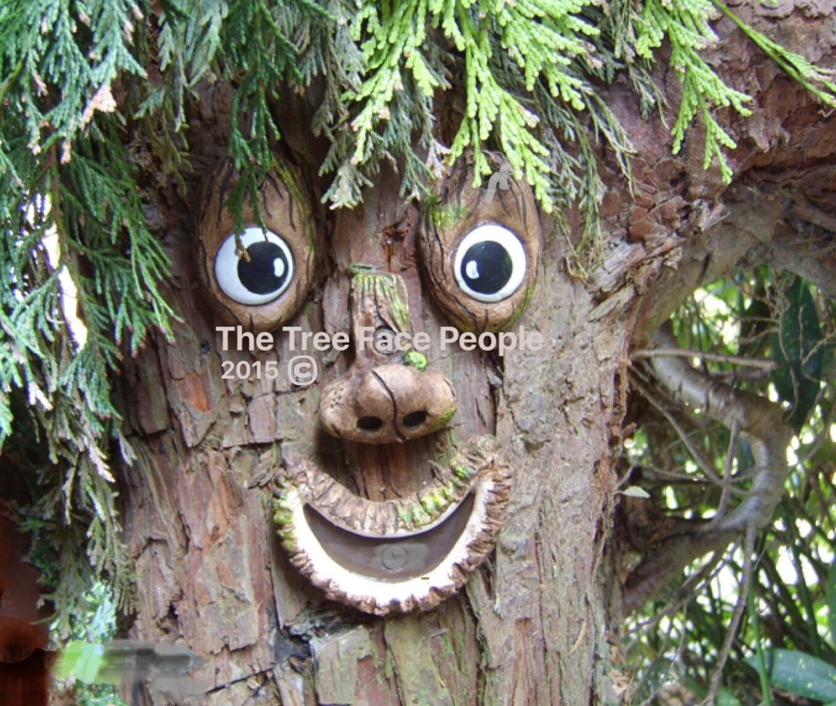 Tree Faces Tree Faces Are A Fun Way To Add Surprise And Delight To