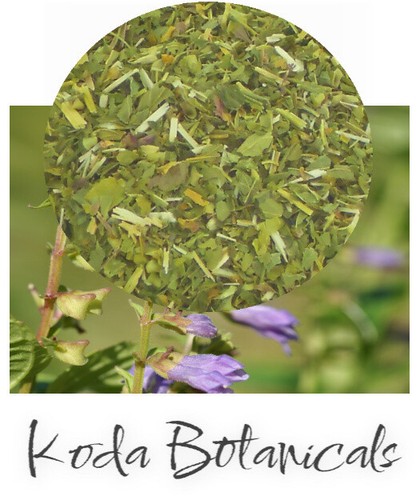 ORGANIC SKULLCAP Herbal Tea PREMIUM GRADE Scutellaria lateriflora Dried ...