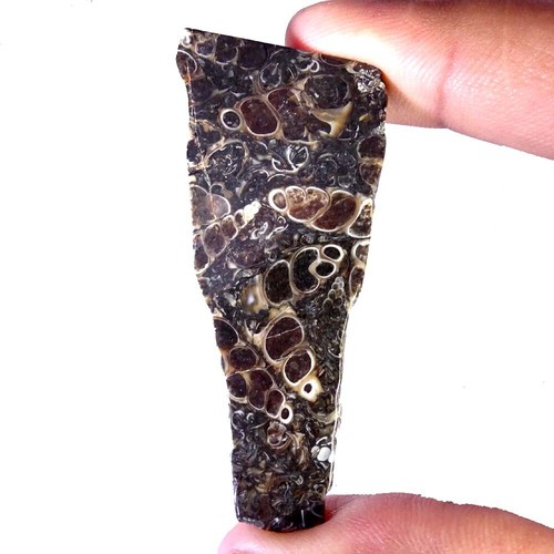 Turtella Agate Natural Slab Polished Minerals Loose Gemstone 87.60Cts ...