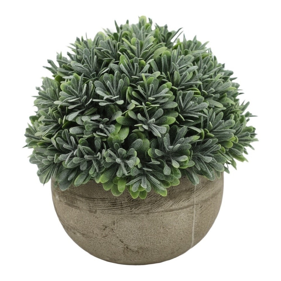 Biodegradable Pot Indoor Potted Decor Biodegradable Pulp No Watering ...