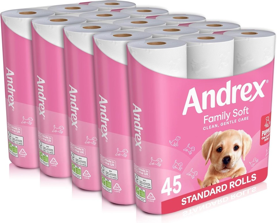 Andrex Family Soft Toilet Tissue 45 Rolls (Previously Andrex Gentle ...
