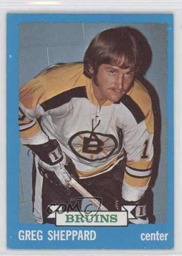 1973-74 Topps Gregg Sheppard #8 | eBay