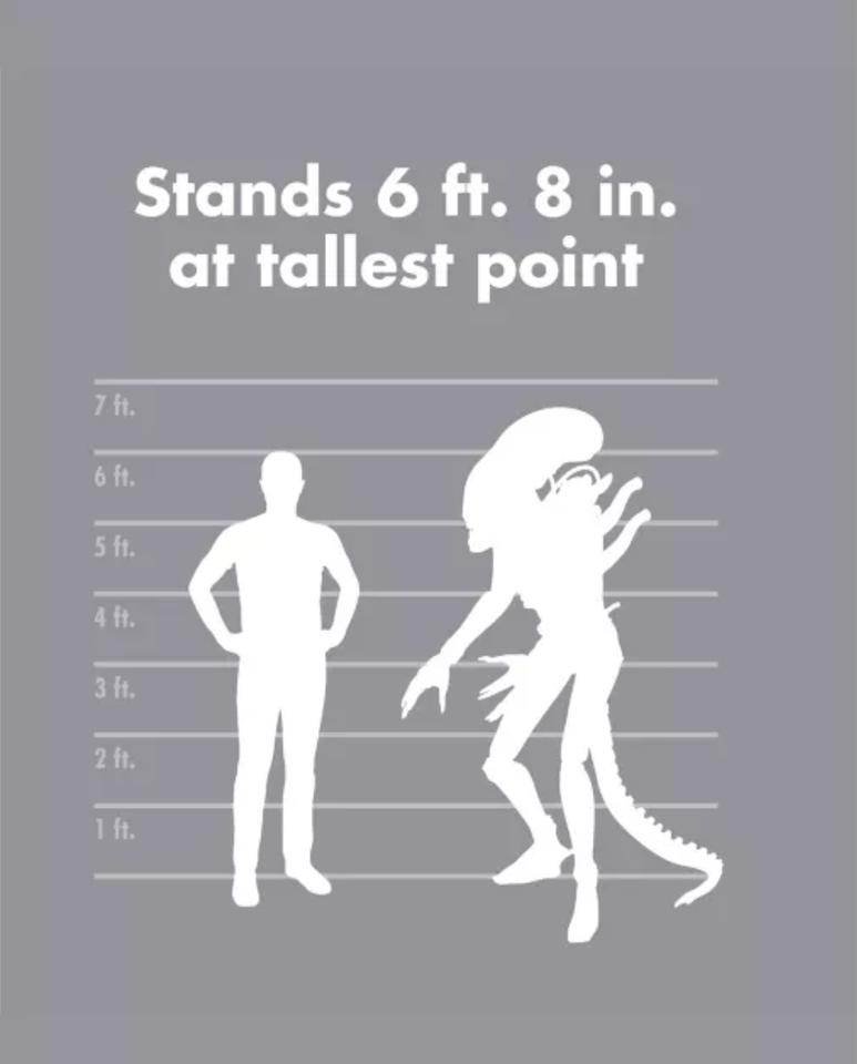 6 Ft 8 In Alien Xenomorph Figure Collectible Animatronic Spirit ...
