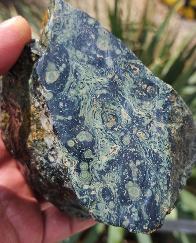 Kambaba Jasper faced rough, Madagascar. Great color, pattern and eyes ...
