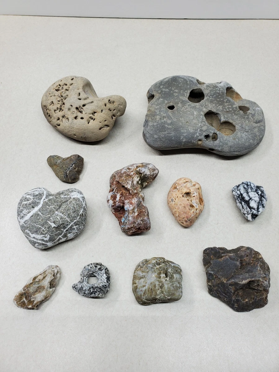 Fossil Rocks Outlet | emergencydentistry.com