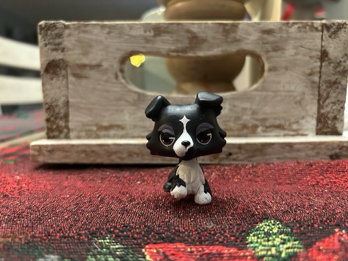 LPS Collie Dog Custom | OOAK | Hand-painted | Littlest Pet Shop | eBay