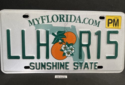 FLORIDA PERMANENT LICENSE PLATE — LLH 🍊R15 — SUNSHINE STATE | eBay
