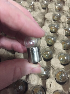 # 67 12v License Plate Bulb OE Replacement Fits many Vehicles - 10 pack ...