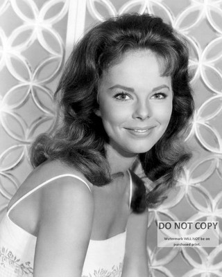 ACTRESS ANNE HELM - 8X10 PUBLICITY PHOTO (BT-214) | eBay