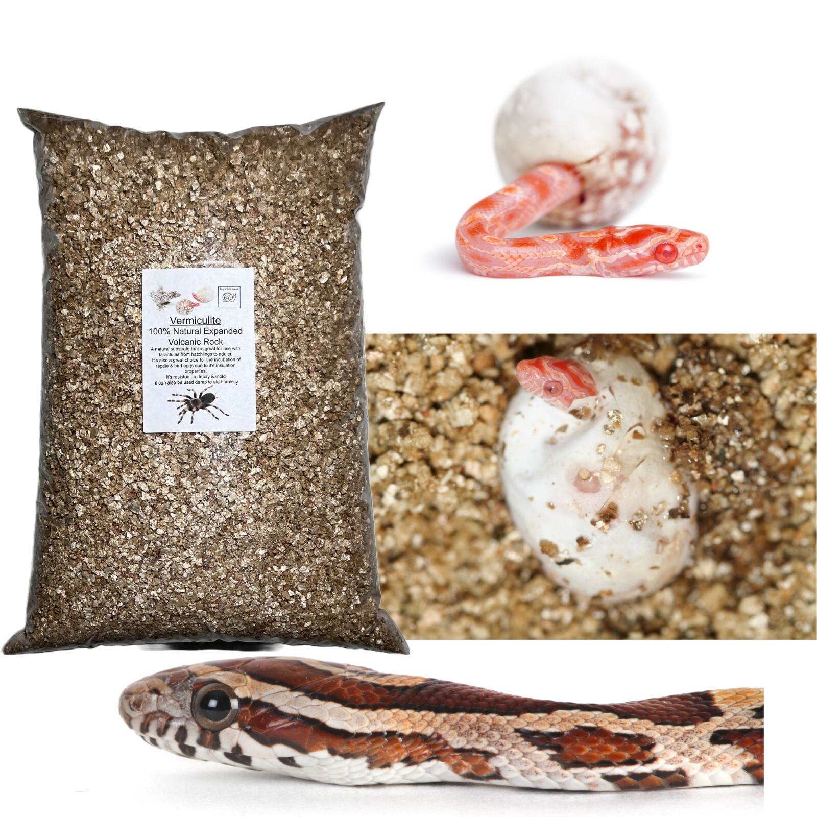 Vermiculite Reptile Egg Incubation, Natural Spider Substrate, Snake ...