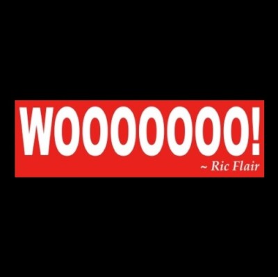 "WOOOOOOO" Nature Boy Ric Flair BUMPER STICKER pro wrestling AWA NWA | eBay
