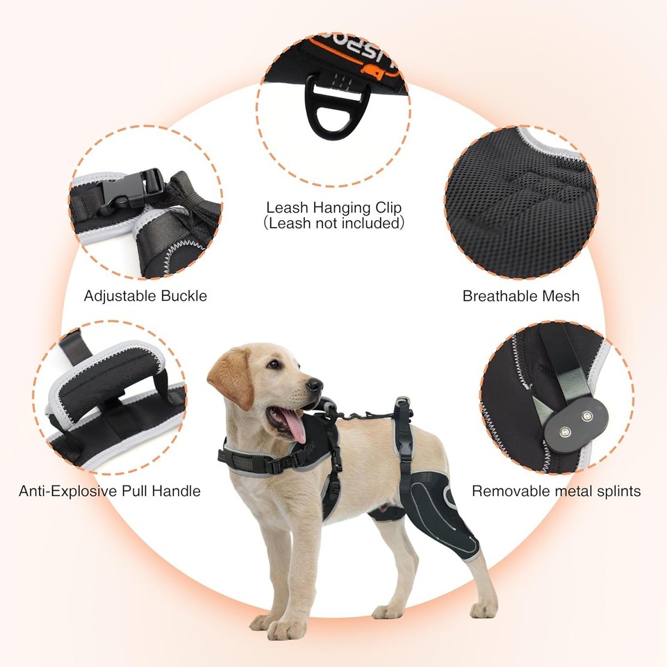 LISPOO Dog Knee Brace for Torn Acl Hind Leg,Dog Leg Braces for Back Leg ...