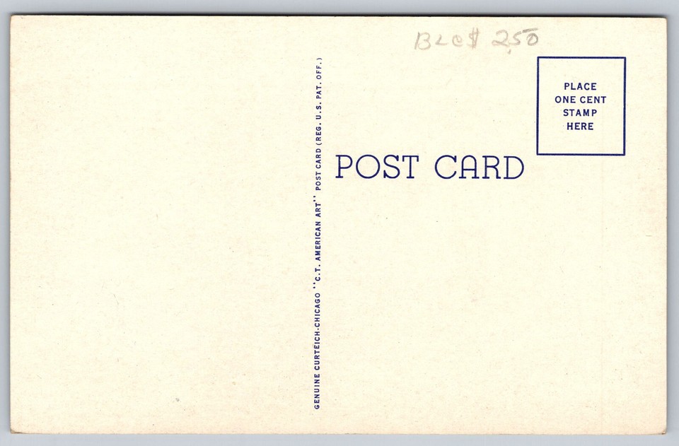 A711 Vintage Postcard Scenic View Springs Park In Enid Oklahoma Bridge ...