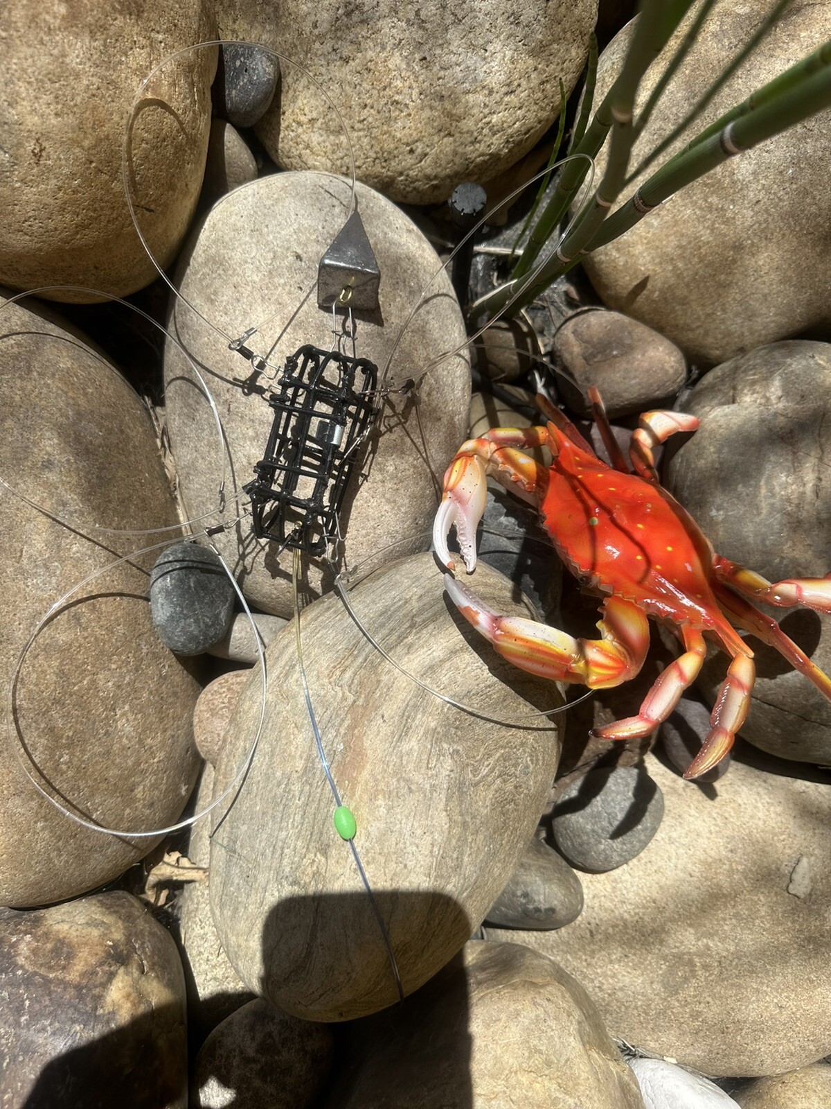 crab snares fishing | eBay