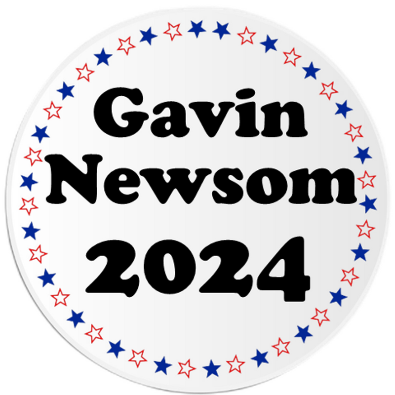 Gavin Newsom 2024 - 100 Pack Circle Stickers 3" x 3" - Election Vote | eBay