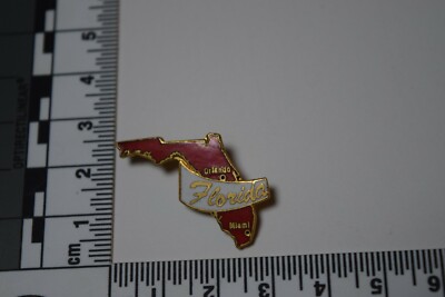 Florida US State Outline Enamel Pin | eBay