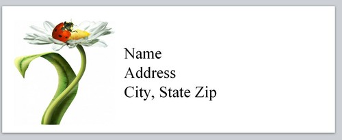 Personalized Address Labels Cute ladybug on Flower (bx 475) | eBay