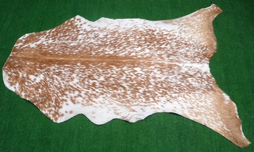 GOAT Western taxidermy Hide Rug Natural Pattern Fur Goat Hide Rode SA ...