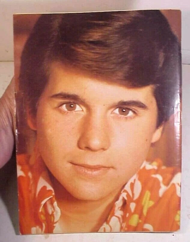 1960s Heartthrobs